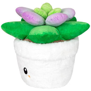 Squishables - 15" Succulent